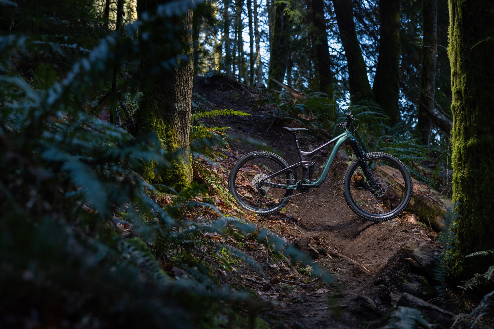 Giant Reign 2 Full Suspension MTB 2026 - JE James Cycles